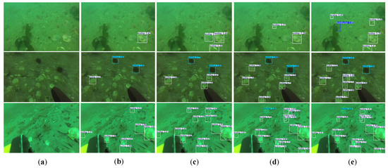 BSE-YOLO: An Enhanced Lightweight Multi-Scale Underwater Object ...