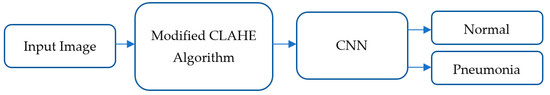 Binary Classification of Pneumonia in Chest X-Ray Images Using Modified ...