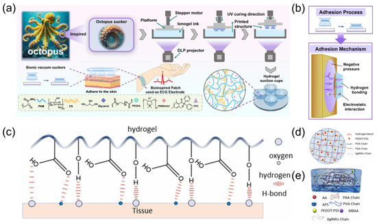 Bionic Sensors for Biometric Acquisition and Monitoring: Challenges and ...