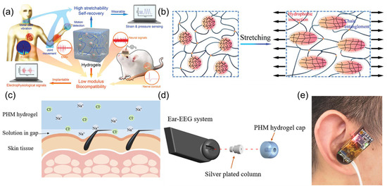 Bionic Sensors for Biometric Acquisition and Monitoring: Challenges and ...