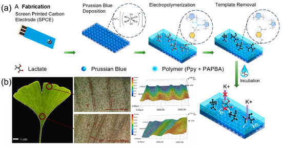 Bionic Sensors for Biometric Acquisition and Monitoring: Challenges and ...