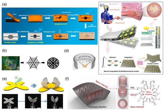 Bionic Sensors for Biometric Acquisition and Monitoring: Challenges and ...