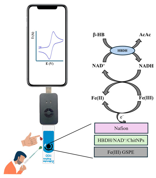Towards Precision Nutrition: A Novel Smartphone-Connected Biosensor for ...