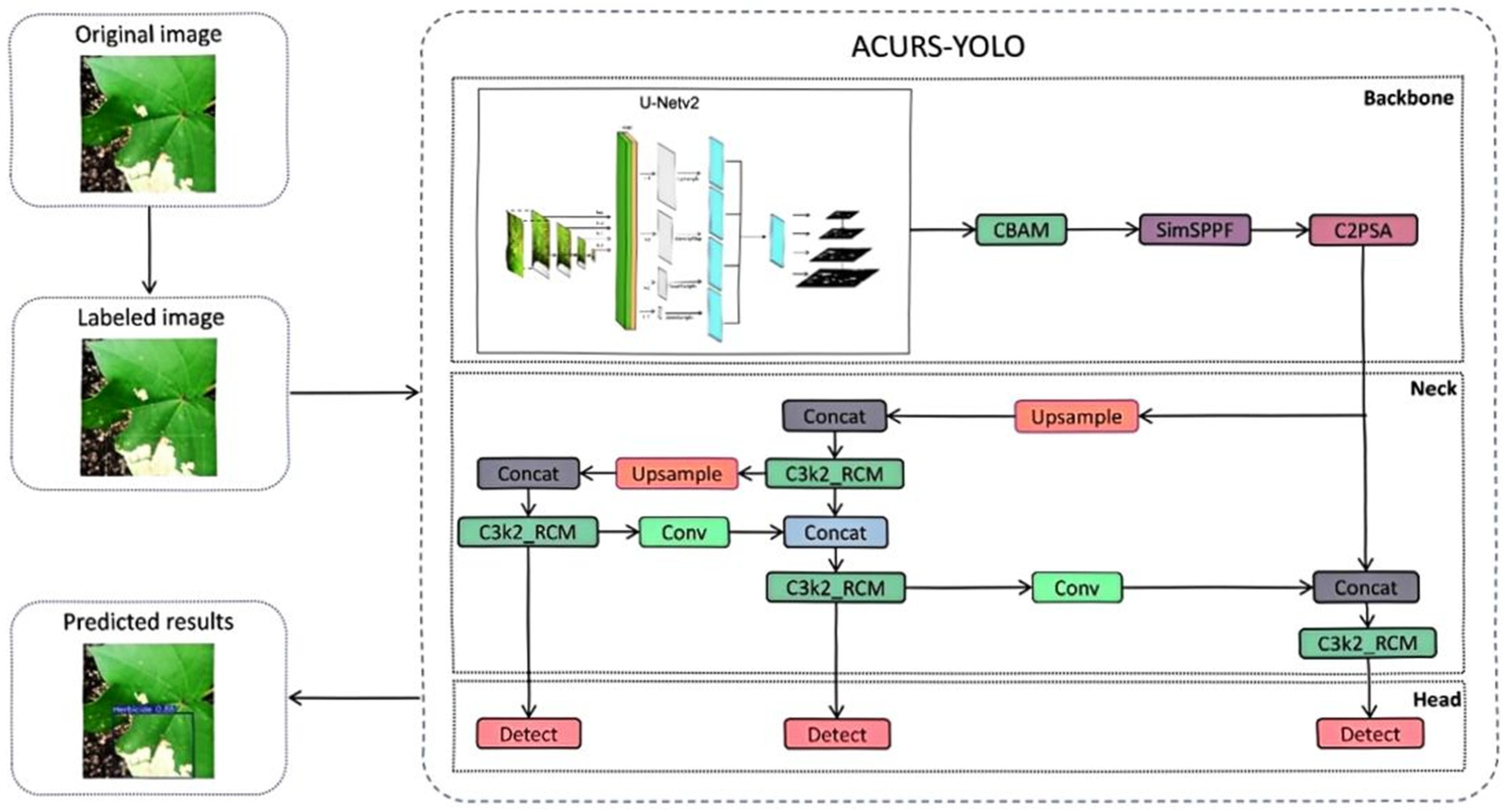 Investigation of an Efficient Multi-Class Cotton Leaf Disease Detection Algorithm That Leverages ...