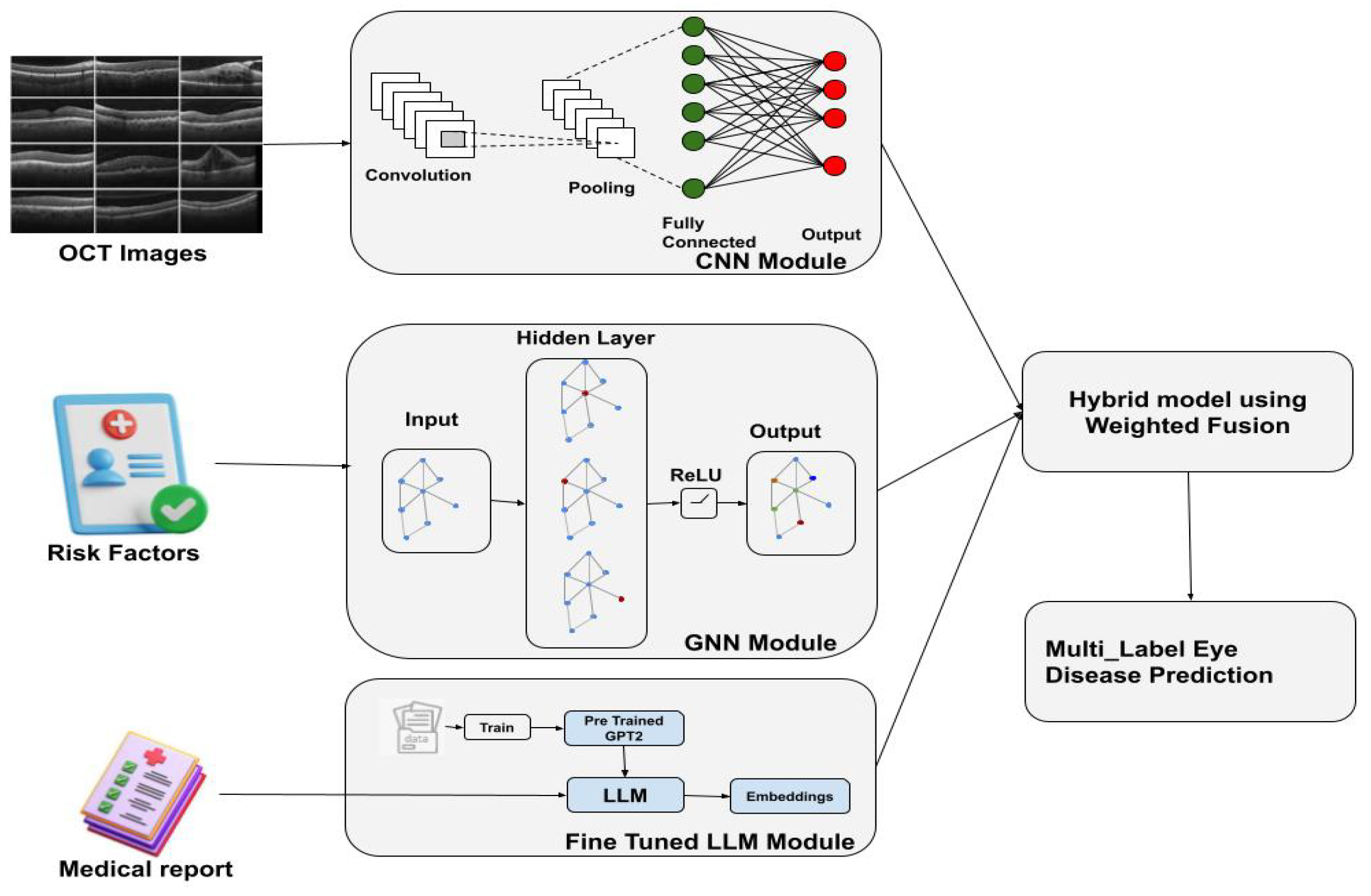 Multi-Modal AI for Multi-Label Retinal Disease Prediction Using OCT and ...