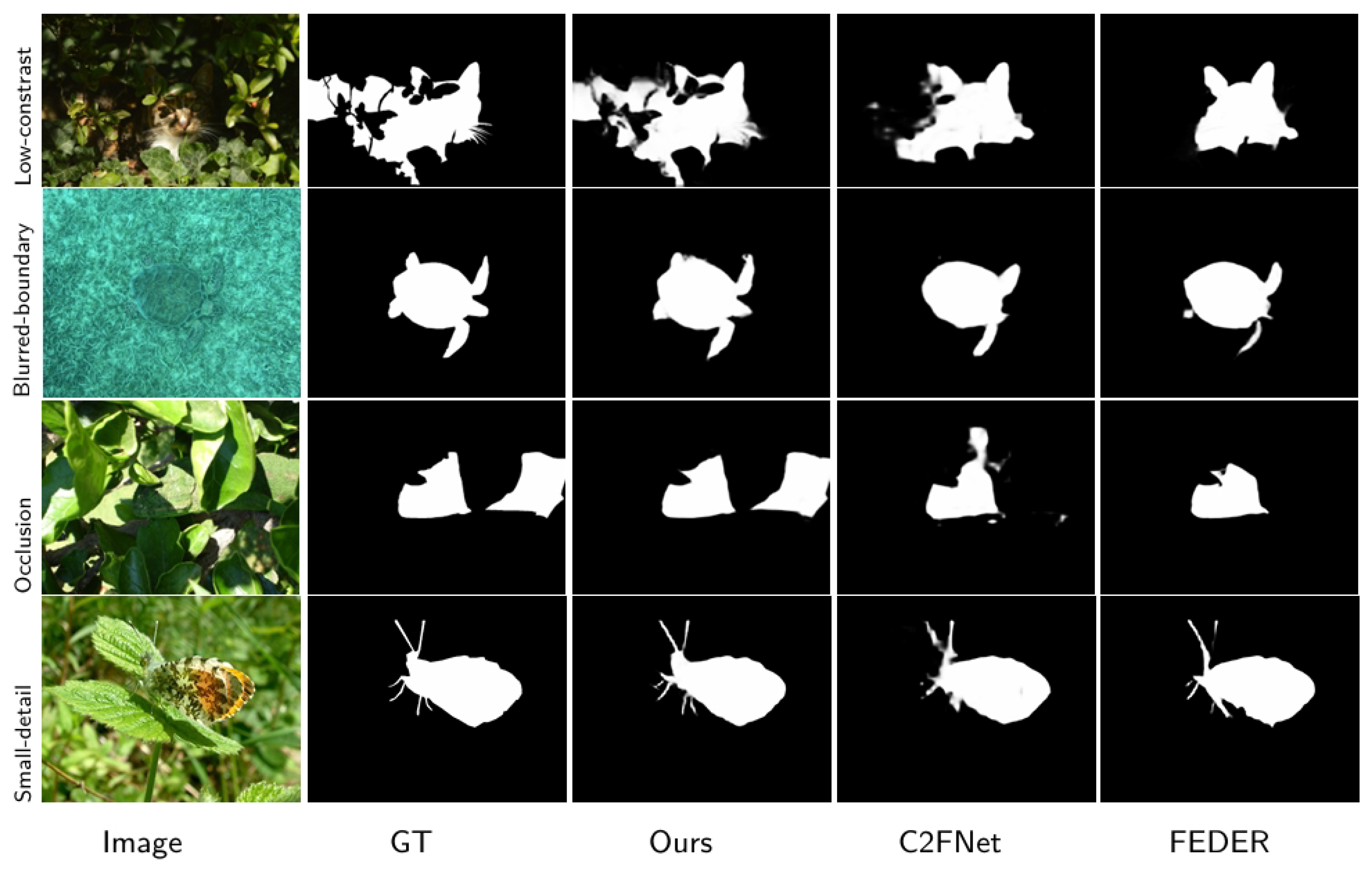SAM2-DFBCNet: A Camouflaged Object Detection Network Based on the Heira Architecture of SAM2