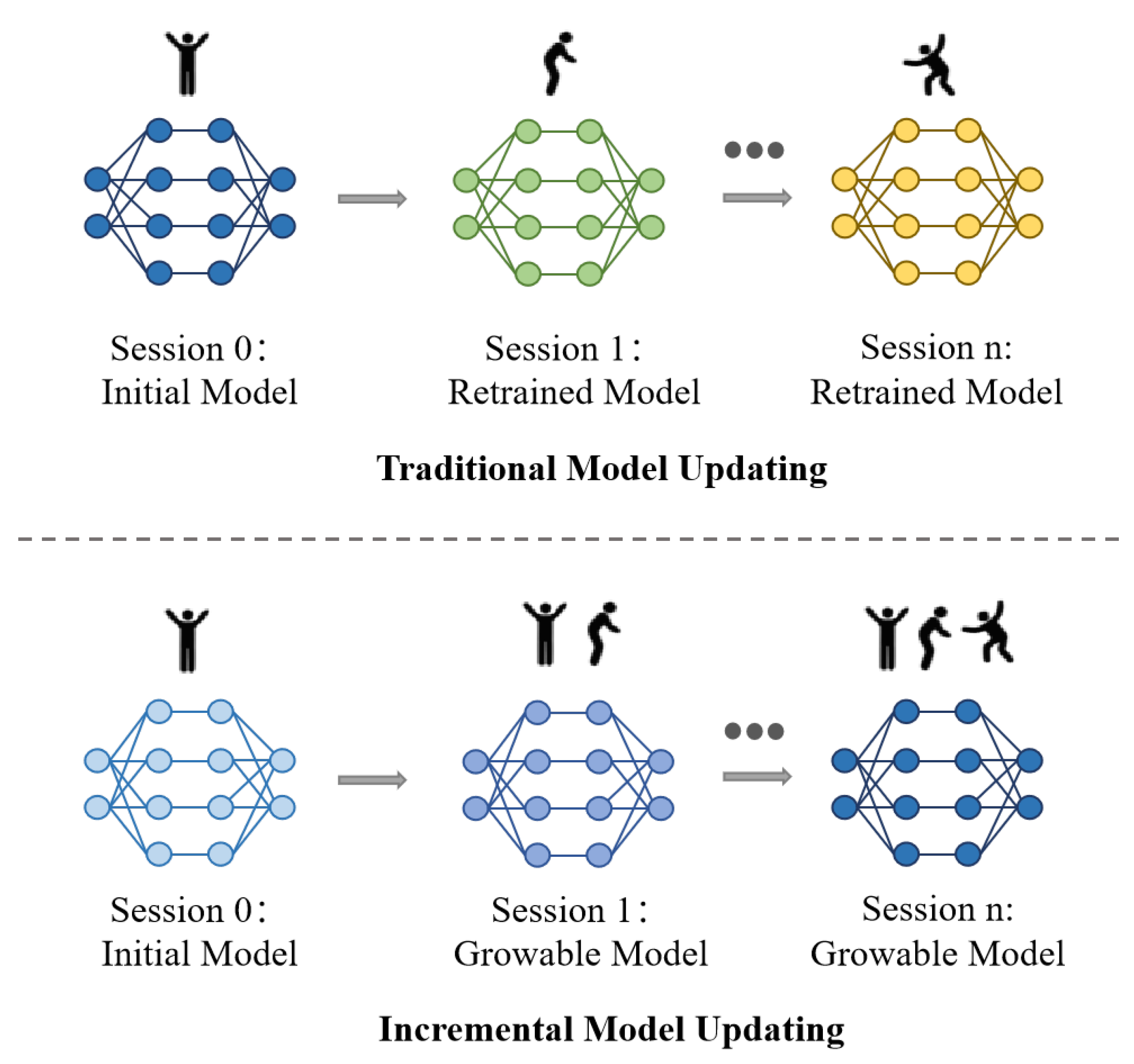 CAREC: Continual Wireless Action Recognition with Expansion–Compression Coordination