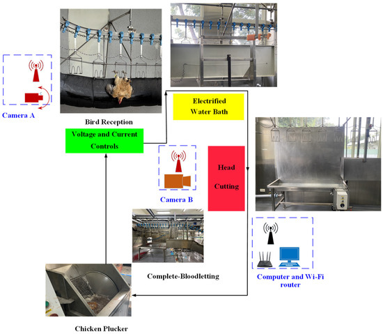 Development and Implementation of an IoT-Enabled Smart Poultry ...