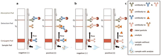 Advancements and Applications of Lateral Flow Assays (LFAs): A ...
