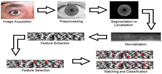 IRIS-QResNet: A Quantum-Inspired Deep Model for Efficient Iris ...