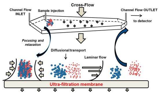 Size Separation Techniques for the Characterisation of Cross-Linked ...