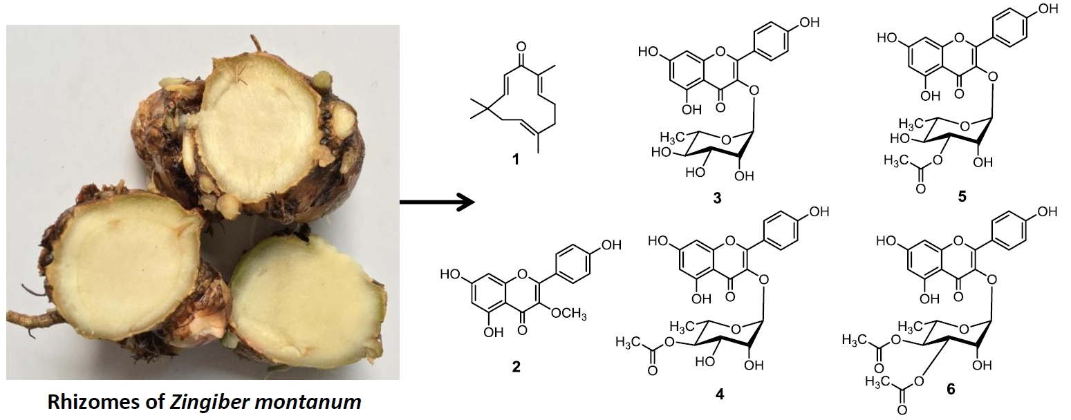 Separations | Free Full-Text | Zerumbone and Kaempferol Derivatives ...