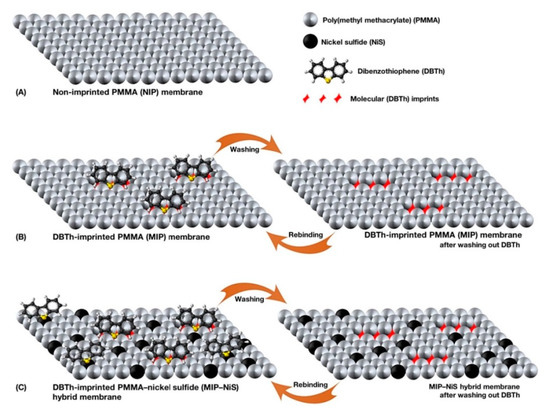 Recent Advances in Molecularly Imprinted Membranes for Sample Treatment and Separation