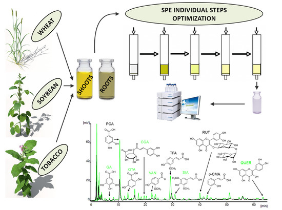 Separations | Free Full-Text | Optimization of Plant Extract Purification Procedure for Rapid ...