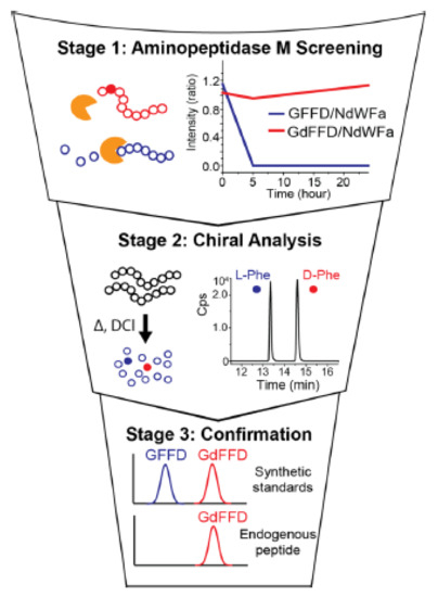 Recent Advances in Chiral Analysis of Proteins and Peptides