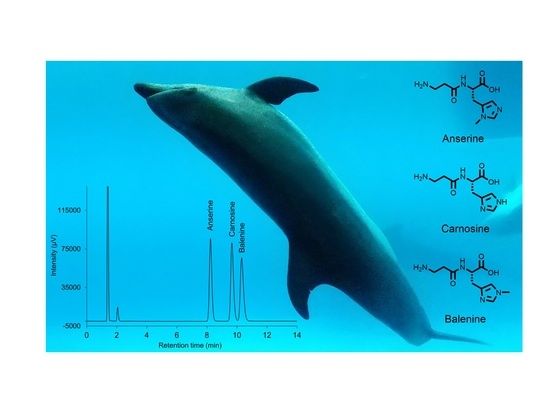 Separations | Free Full-Text | Quantification of Histidine-Containing ...