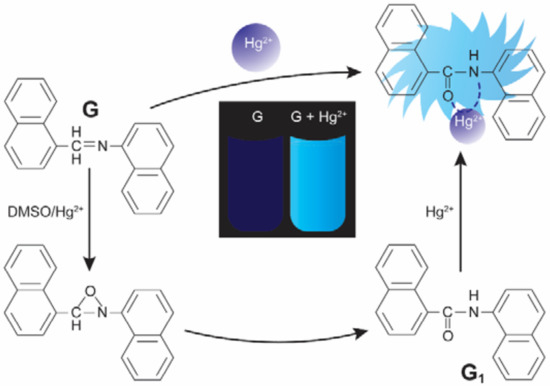 Separations | Free Full-Text | Recent Advances on the Development of Chemosensors for the ...