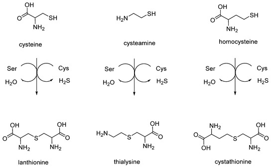 Chemistry of Outlandish Natural Products Belonging to Sulfur Metabolism ...