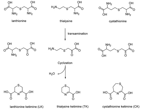 Chemistry of Outlandish Natural Products Belonging to Sulfur Metabolism ...