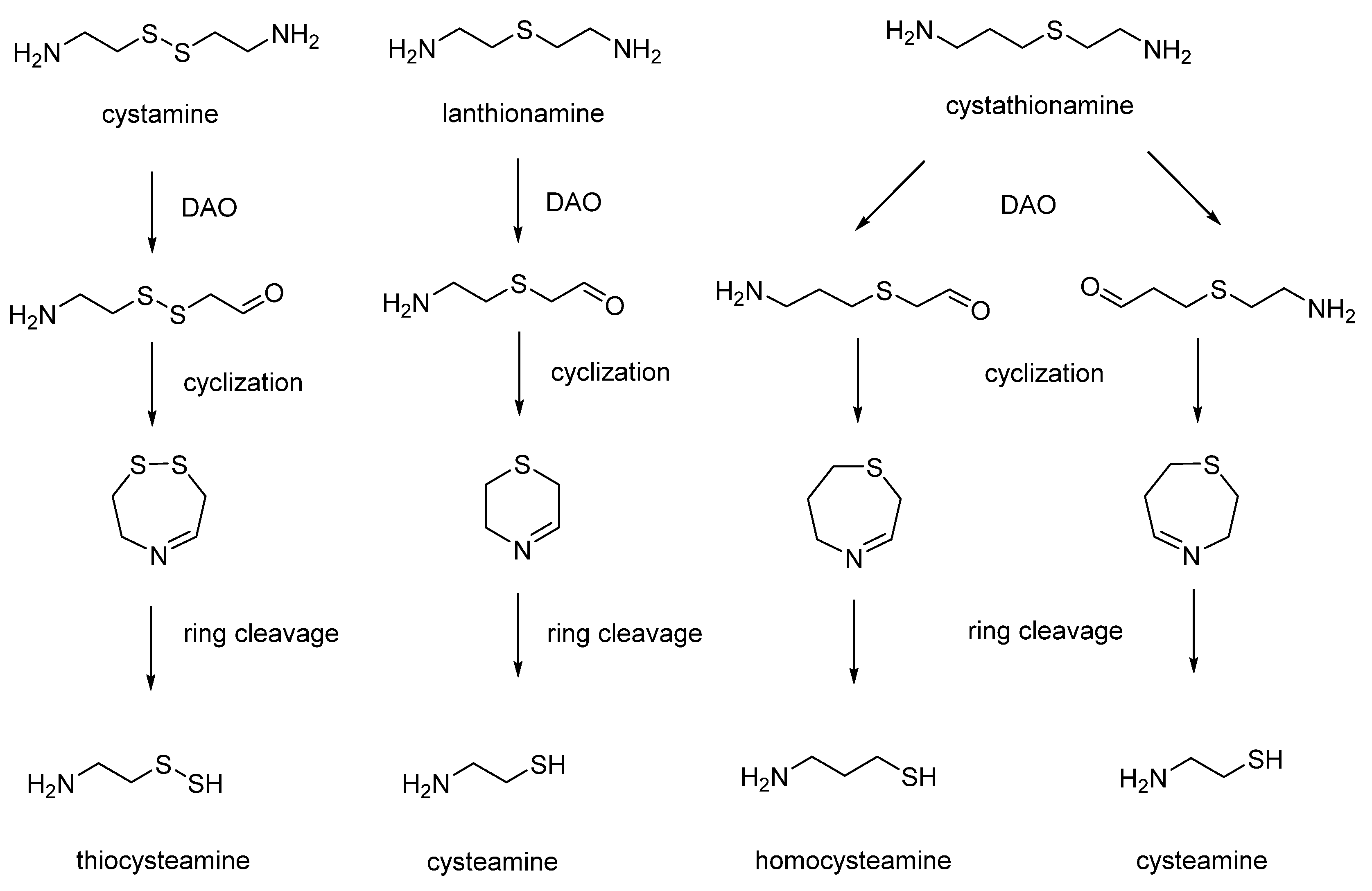 Chemistry of Outlandish Natural Products Belonging to Sulfur Metabolism ...