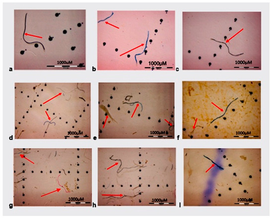 Separations | An Open Access Journal from MDPI