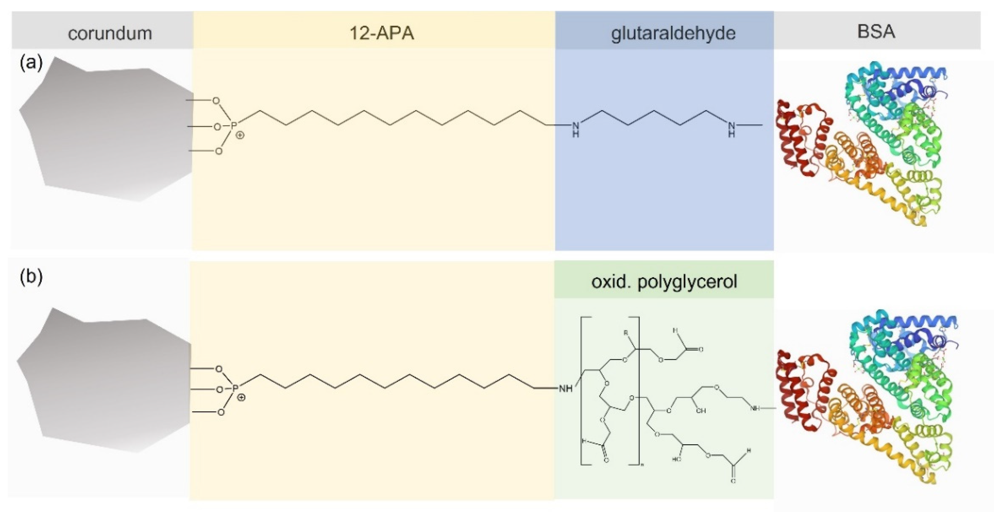 High-Purity Corundum as Support for Affinity Extractions from Complex ...