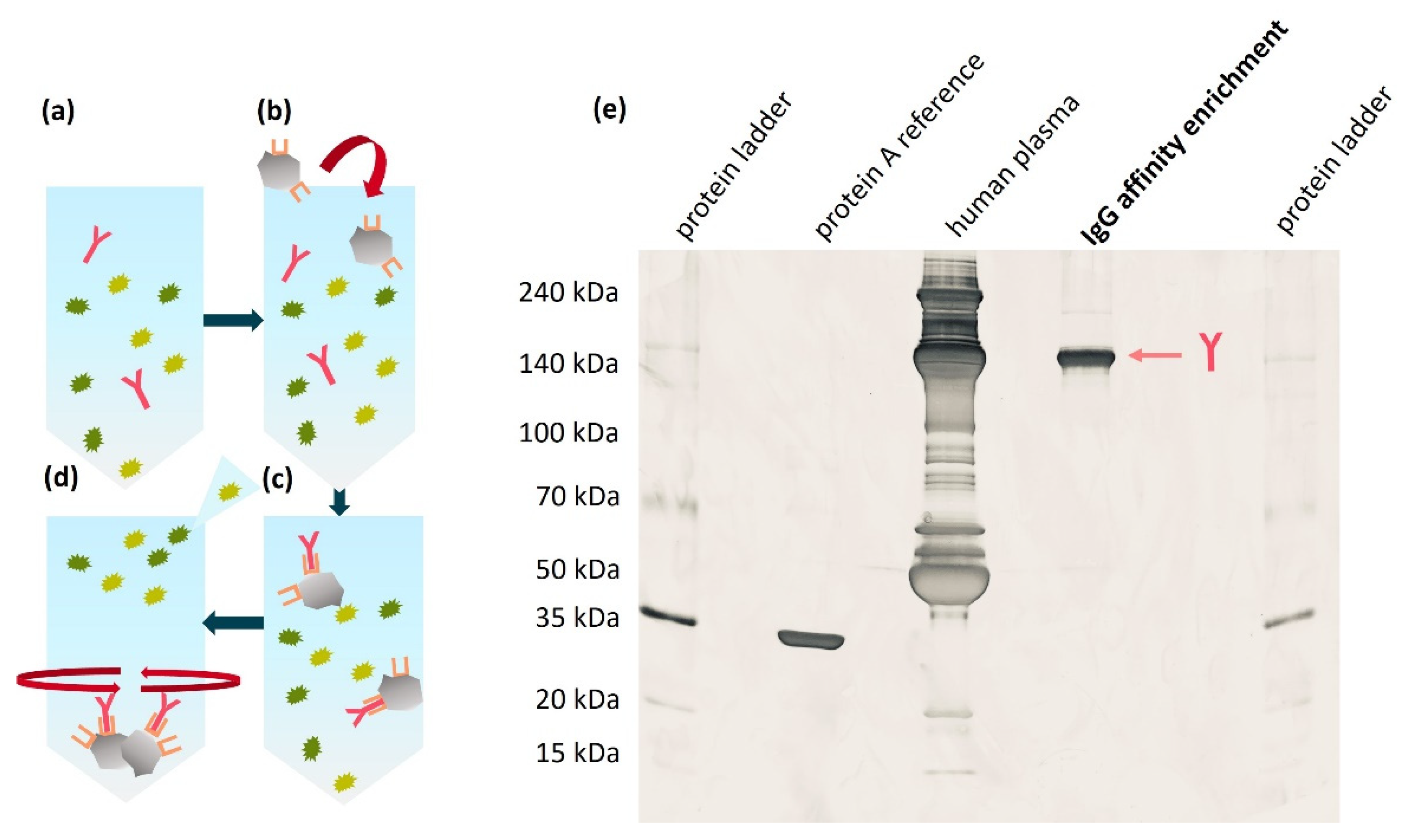 High-Purity Corundum as Support for Affinity Extractions from Complex ...