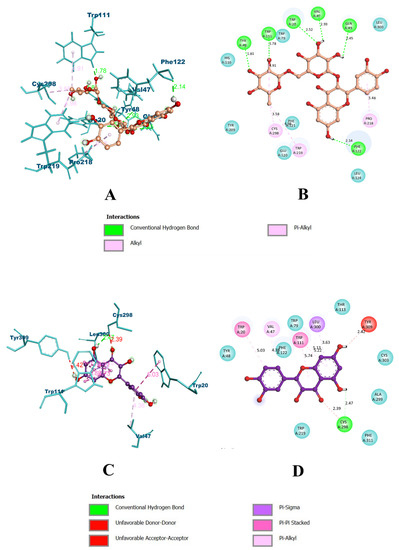 Discovery of Bioactive Compounds from Natural Organisms and Their ...