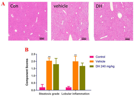 Discovery of Bioactive Compounds from Natural Organisms and Their ...