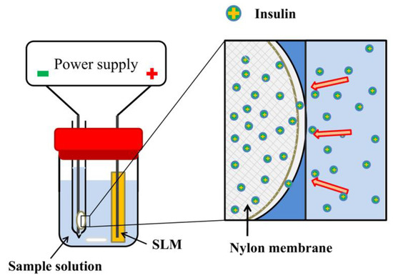Nylon Membrane-Based Electromembrane Extraction Coupled with Matrix ...