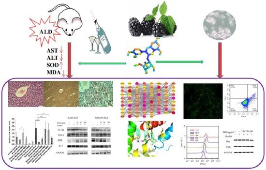 Discovery of Bioactive Compounds from Natural Organisms and Their ...