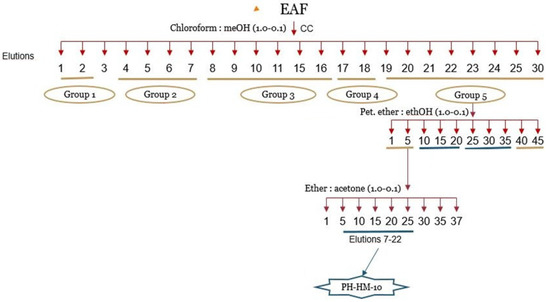 Extraction, Separation and Purification of Bioactive Anticancer ...