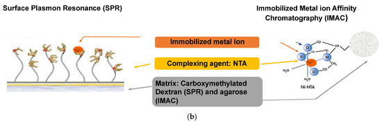 Metal-Chelating Peptides Separation Using Immobilized Metal Ion ...