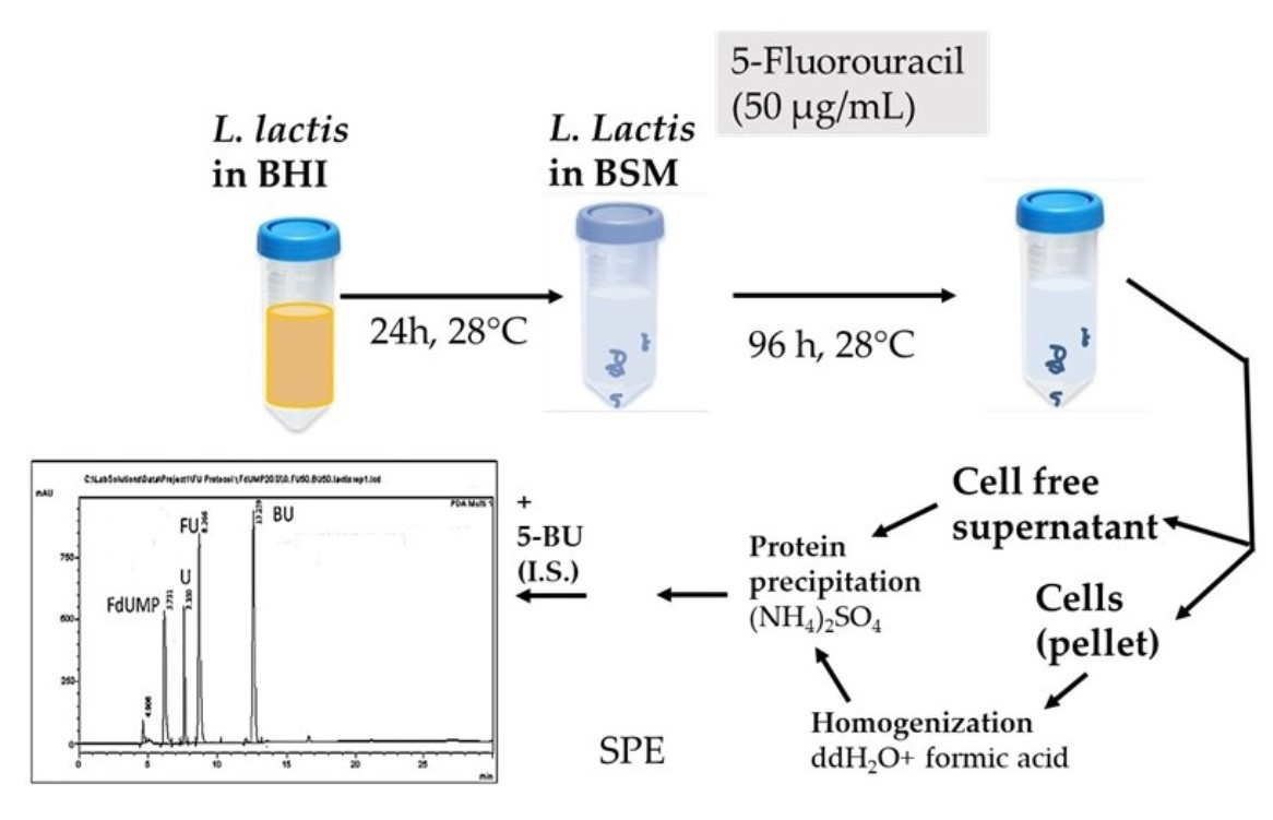 Separations | Free Full-Text | Development of an HPLC-DAD Method for ...