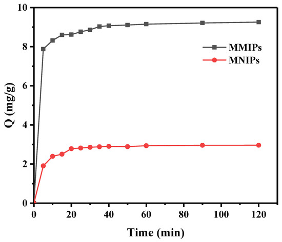 Preparation and Adsorption Properties of Magnetic Molecularly Imprinted ...