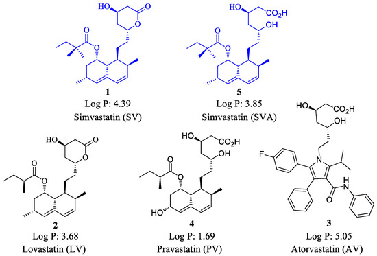 Simvastatin: In Vitro Metabolic Profiling of a Potent Competitive HMG ...