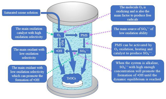 Separations | Free Full-Text | Application of O3/PMS Advanced Oxidation ...