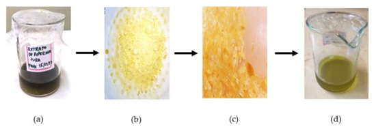 Separations | Free Full-Text | Evaluation of Antimicrobial Activity and ...