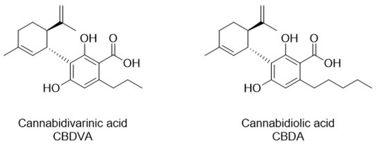 Bioassay-Guided Isolation and Identification of Antibacterial ...