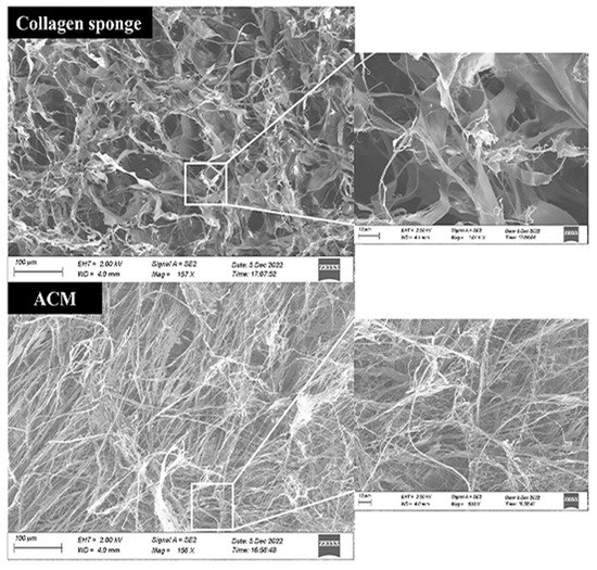 Evaluating the Degradation Process of Collagen Sponge and Acellular ...