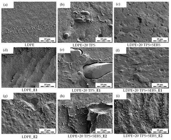 Screening the Efficacy of a Microbial Consortium of Bacteria and Fungi Isolated from Different ...