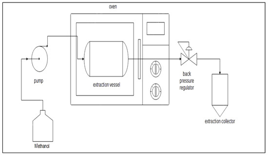 Utilizing Subcritical Methanol Extraction for Catechin and Epicatechin ...