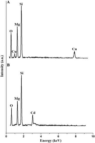 Functionalization of Sodium Magnesium Silicate Hydroxide/Sodium ...