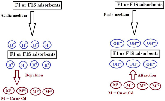 Functionalization of Sodium Magnesium Silicate Hydroxide/Sodium ...