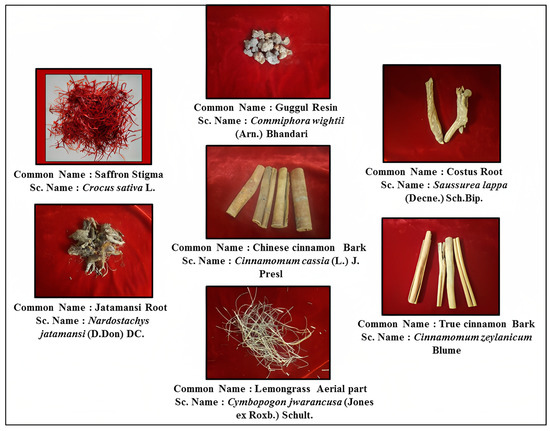 Pharmacognostical and Phytochemical Evaluation of a Unani Polyherbal ...