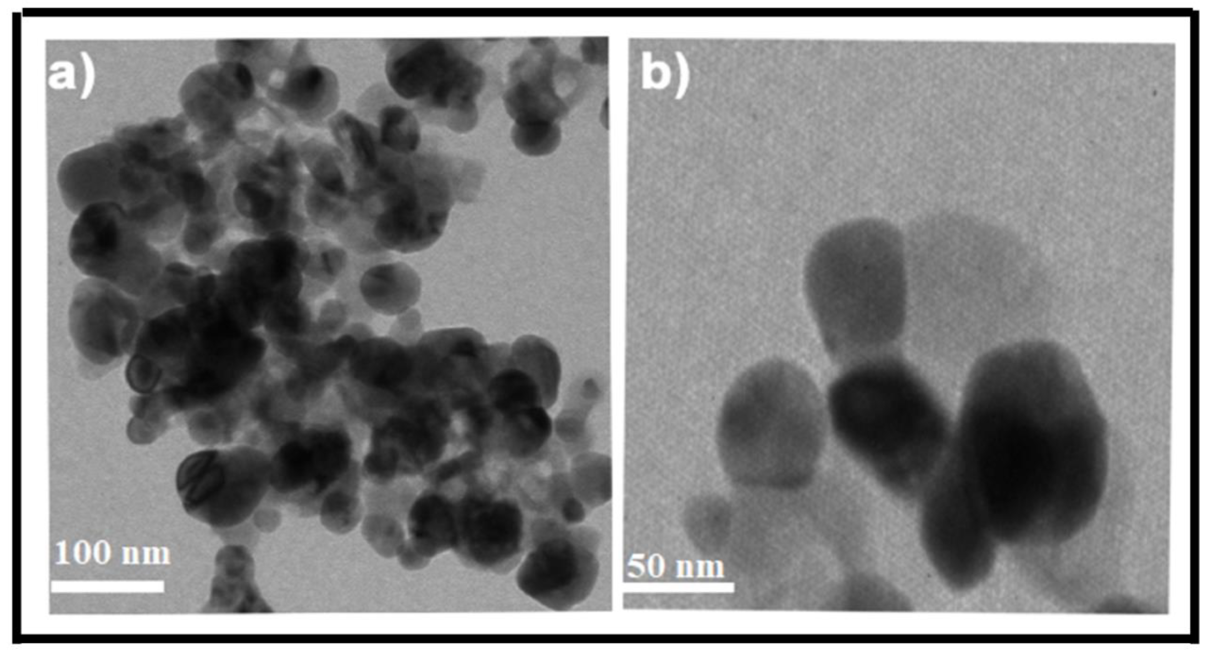 Photocatalytic Organic Contaminant Degradation of Green Synthesized ...