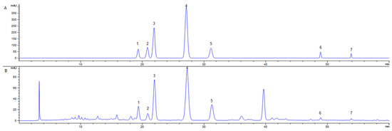 Deep Eutectic Solvent-Based Microwave-Assisted Extraction for the ...