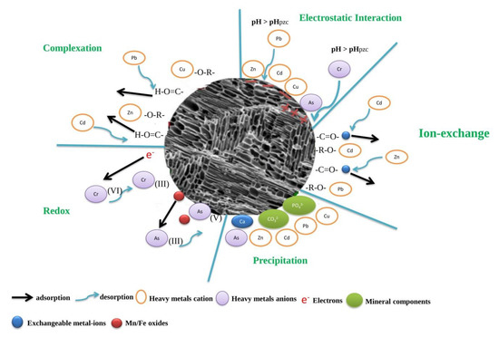 Biochar as a Green Sorbent for Remediation of Polluted Soils and ...