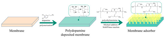 Effect of Functional Groups on Protein Adsorption Performance of ...