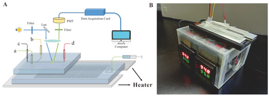 Detection of Periodontal Pathogens Based on an Integrated Continuous ...